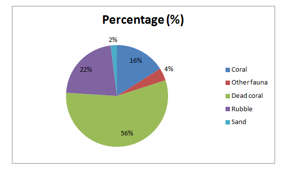 marine biology: May 2012