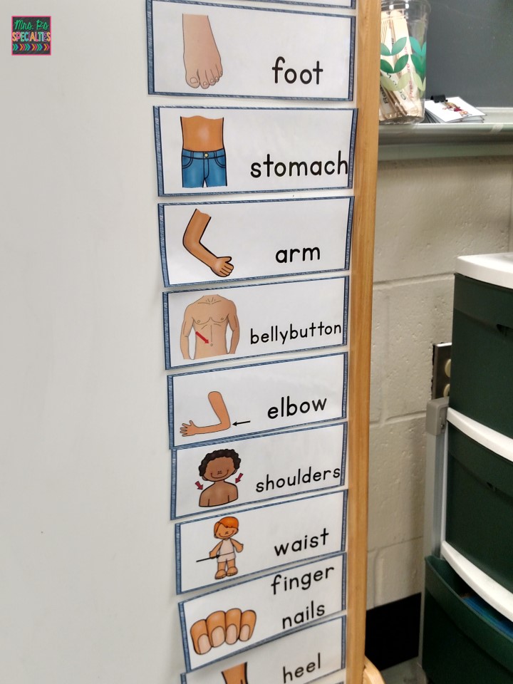 Hands On Lesson On Body Parts · Mrs. P's Specialties