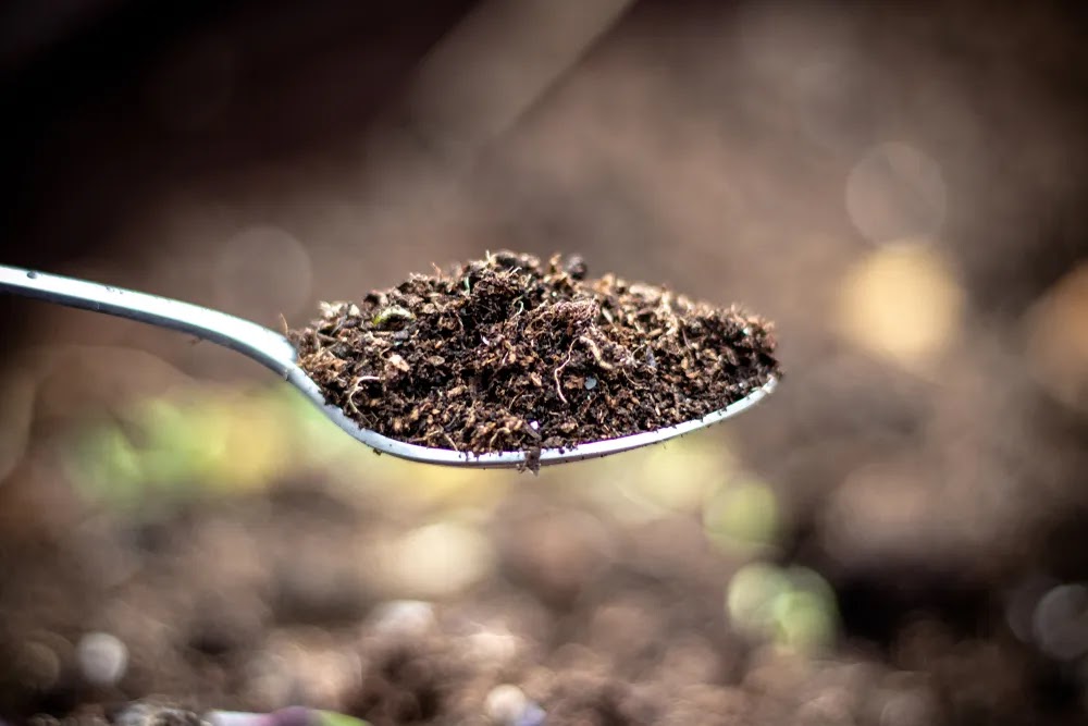 The Healing Soil of Boho | Amusing Planet