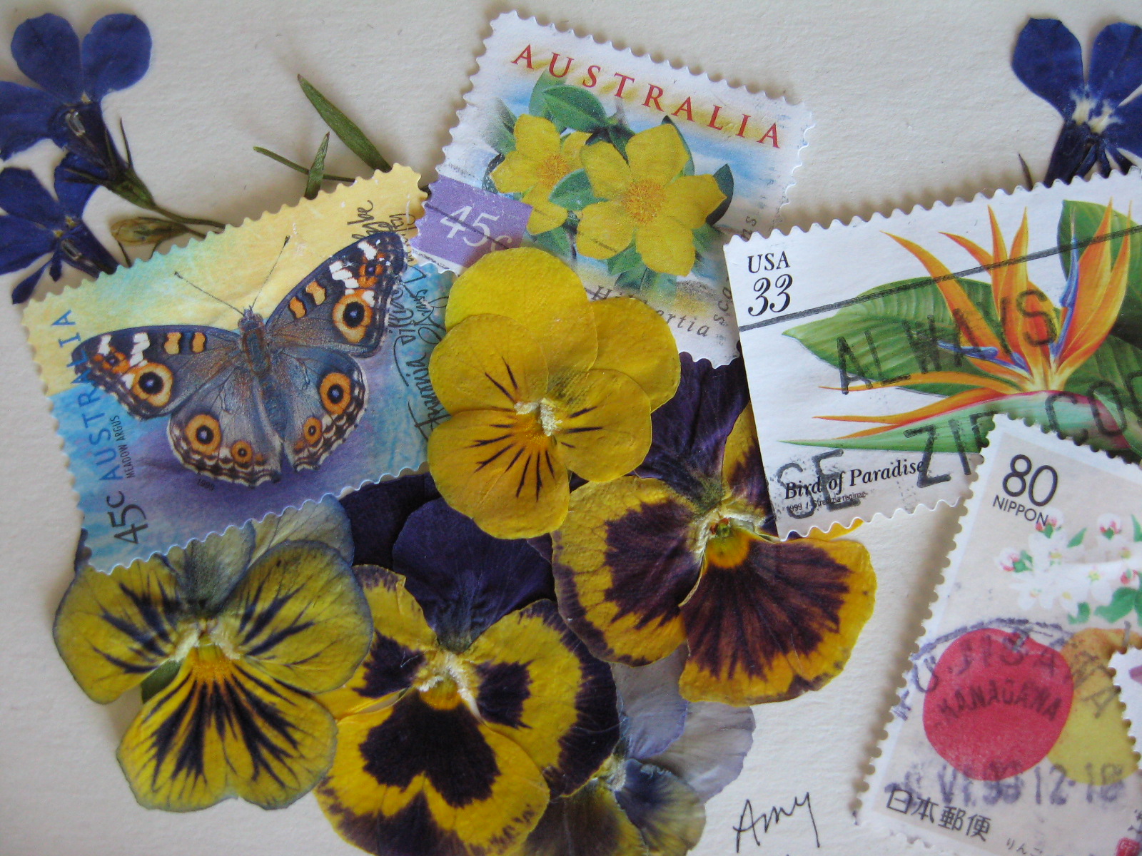 amyspressedflowers: Pressed Flowers and Postage Stamps