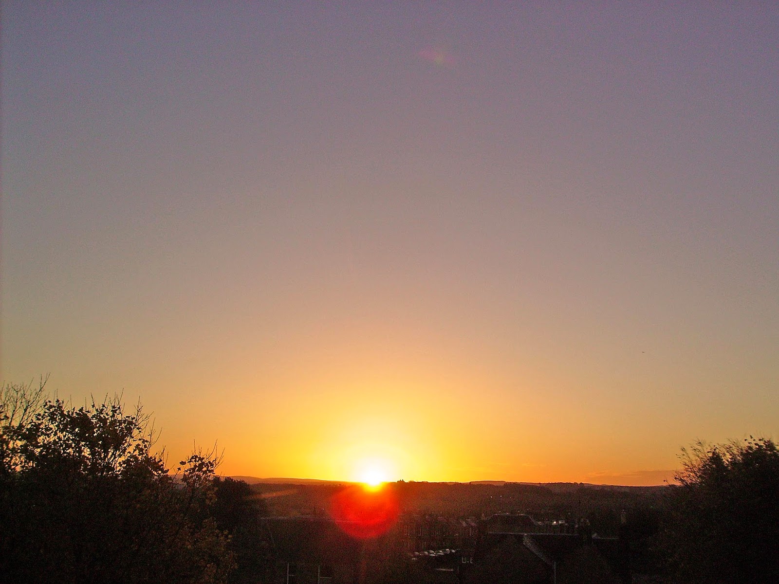 David Edwards Miniatures: Today in my workshop