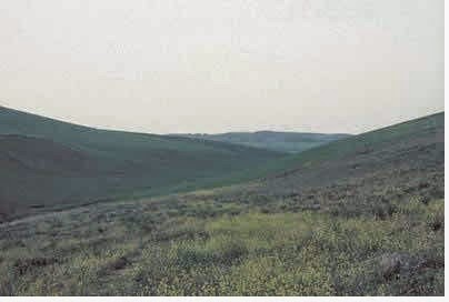 Titus Quinctius Flamininus - Alchetron, the free social encyclopedia