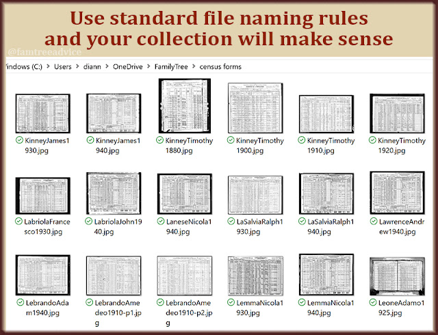 Fortify Your Family Tree: 3 Rules for Naming Digital Genealogy Documents