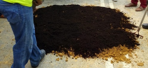 PANDUAN PENJAGAAN DAN MENANAM POKOK TIN | Tanaman Pokok Buah Tin