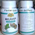Plantas que curan del PERU : HIGASAN compuesto Natural Protector del HÍGADO