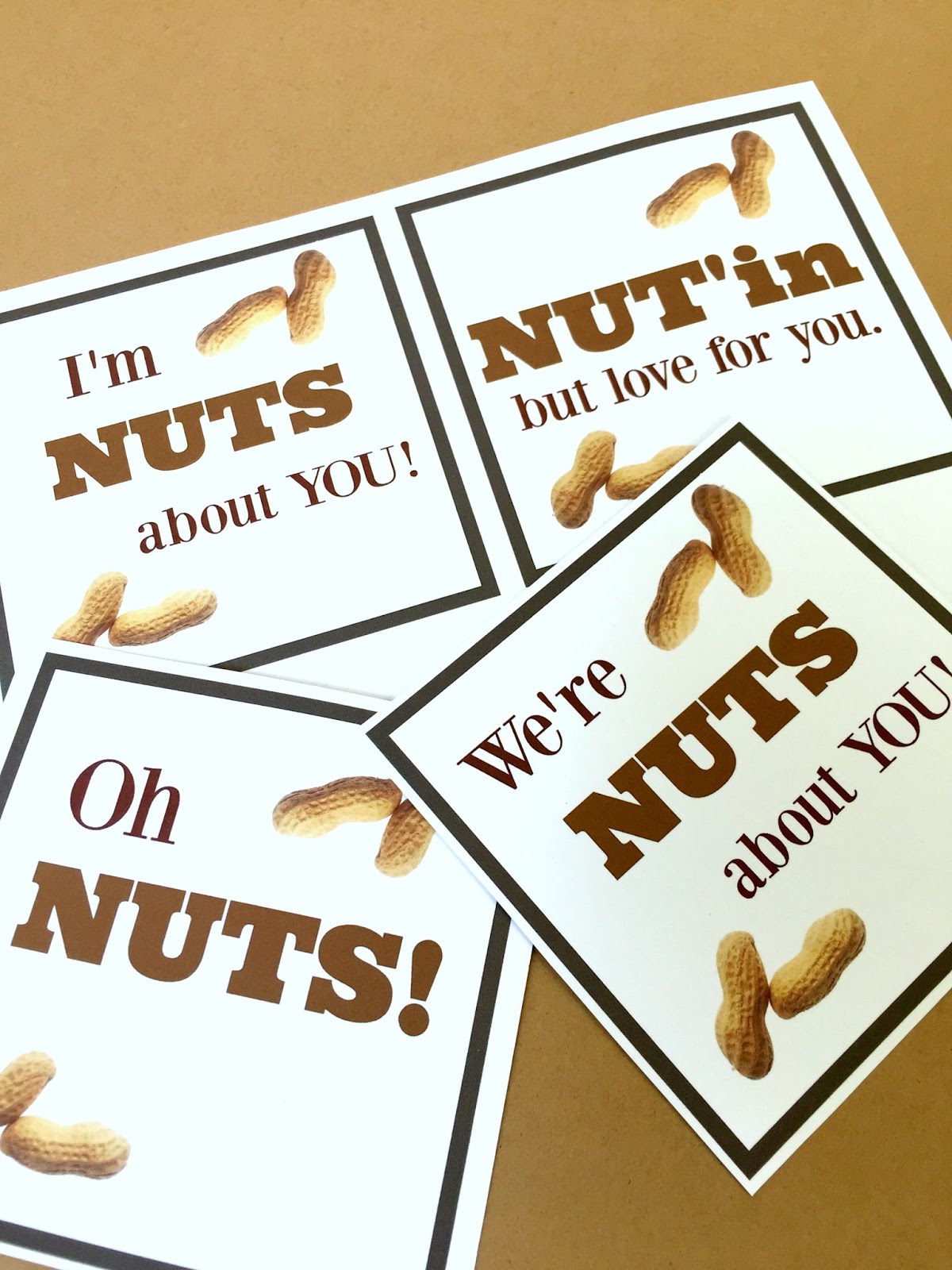 michelle paige blogs: Easy Nut Gifts