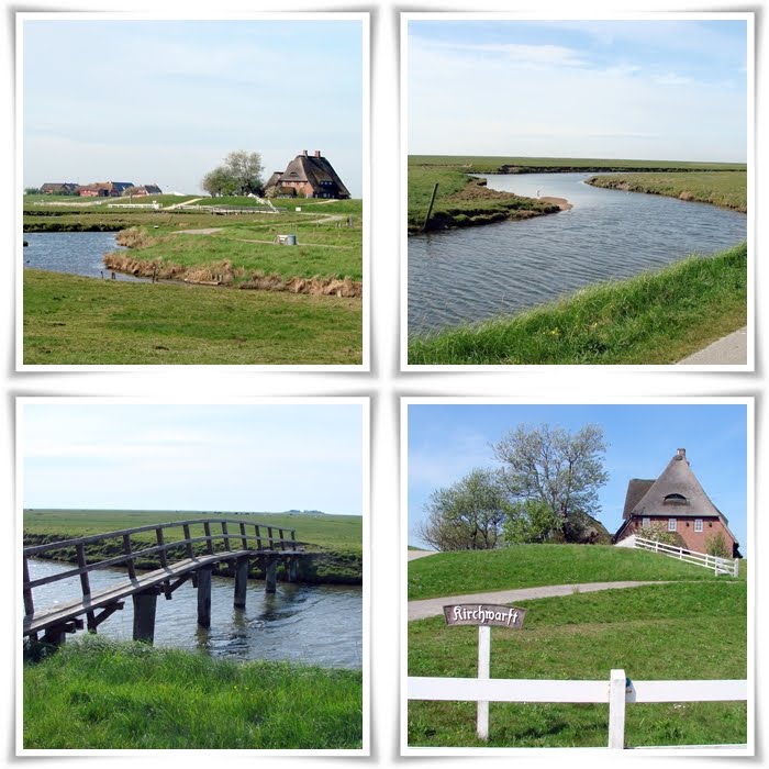 Hallig Hooge - Warften und Priele