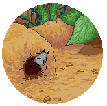 Insetos 2 - Cia dos Gifs