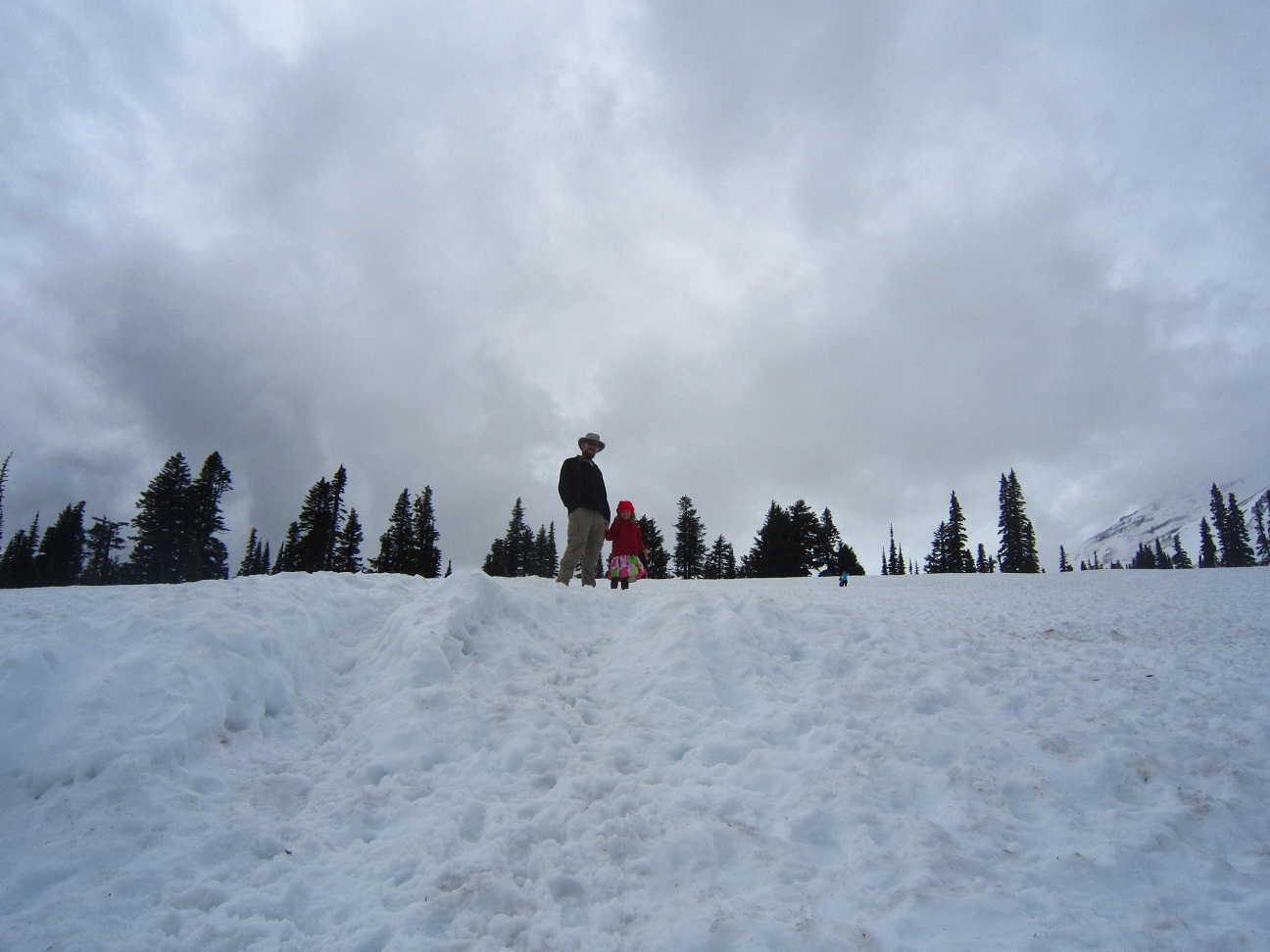 Life's Short! Go RVing!: The Seattle Area