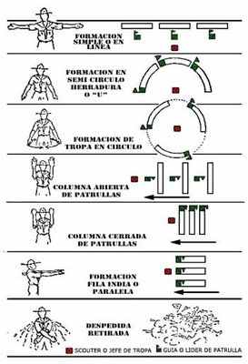 scout : Informacion de los scouts