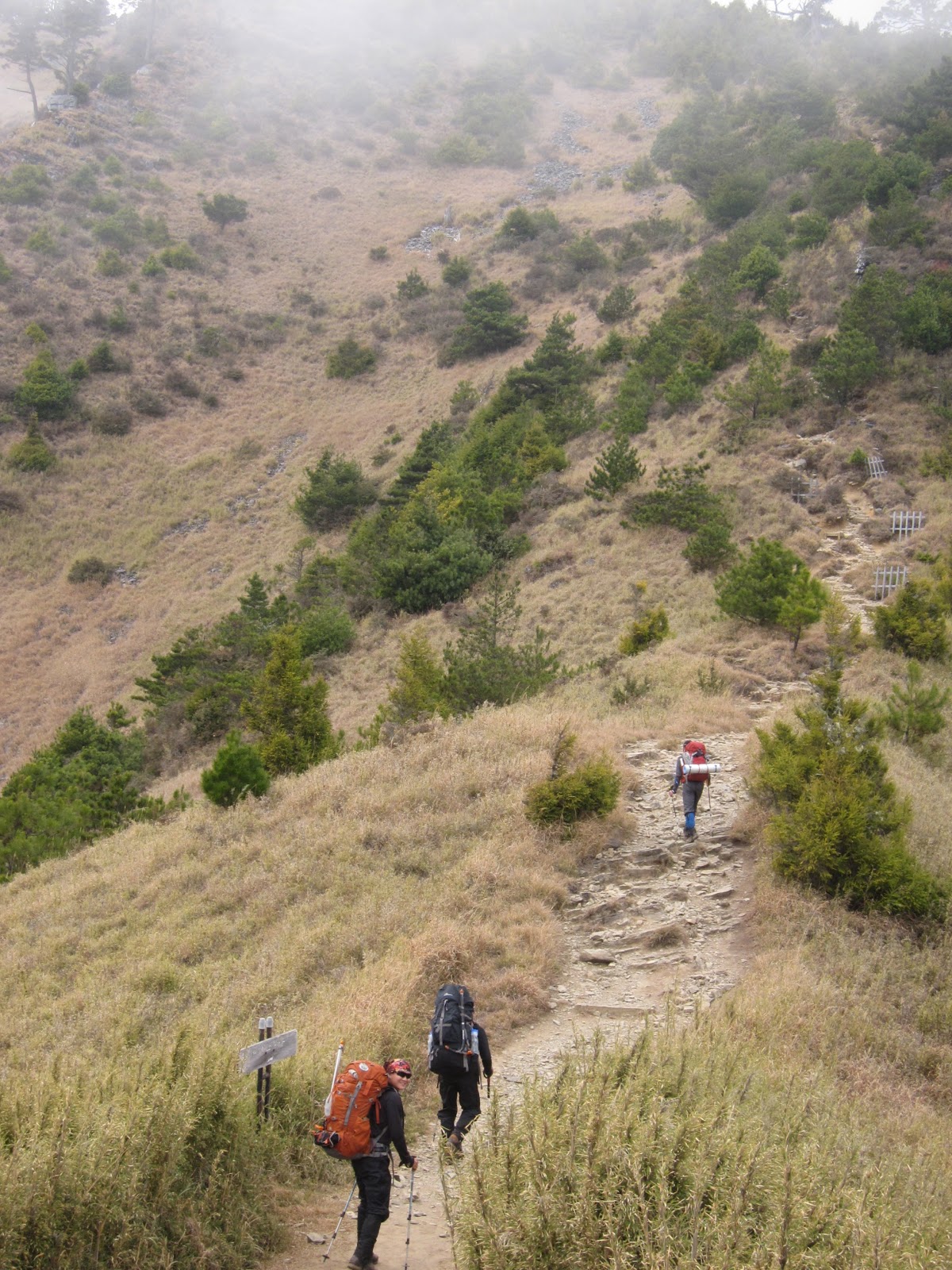 GEAR UP, GET OUT: Trip Report: Xueshan (Snow Mountain), Taiwan