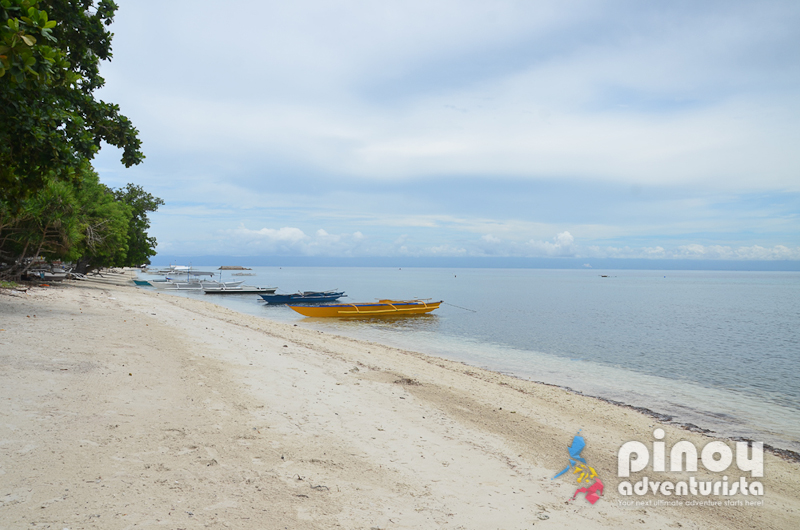 BEACH RESORTS IN PANGLAO, BOHOL: Momo Beach House, "A Lovely Boutique ...