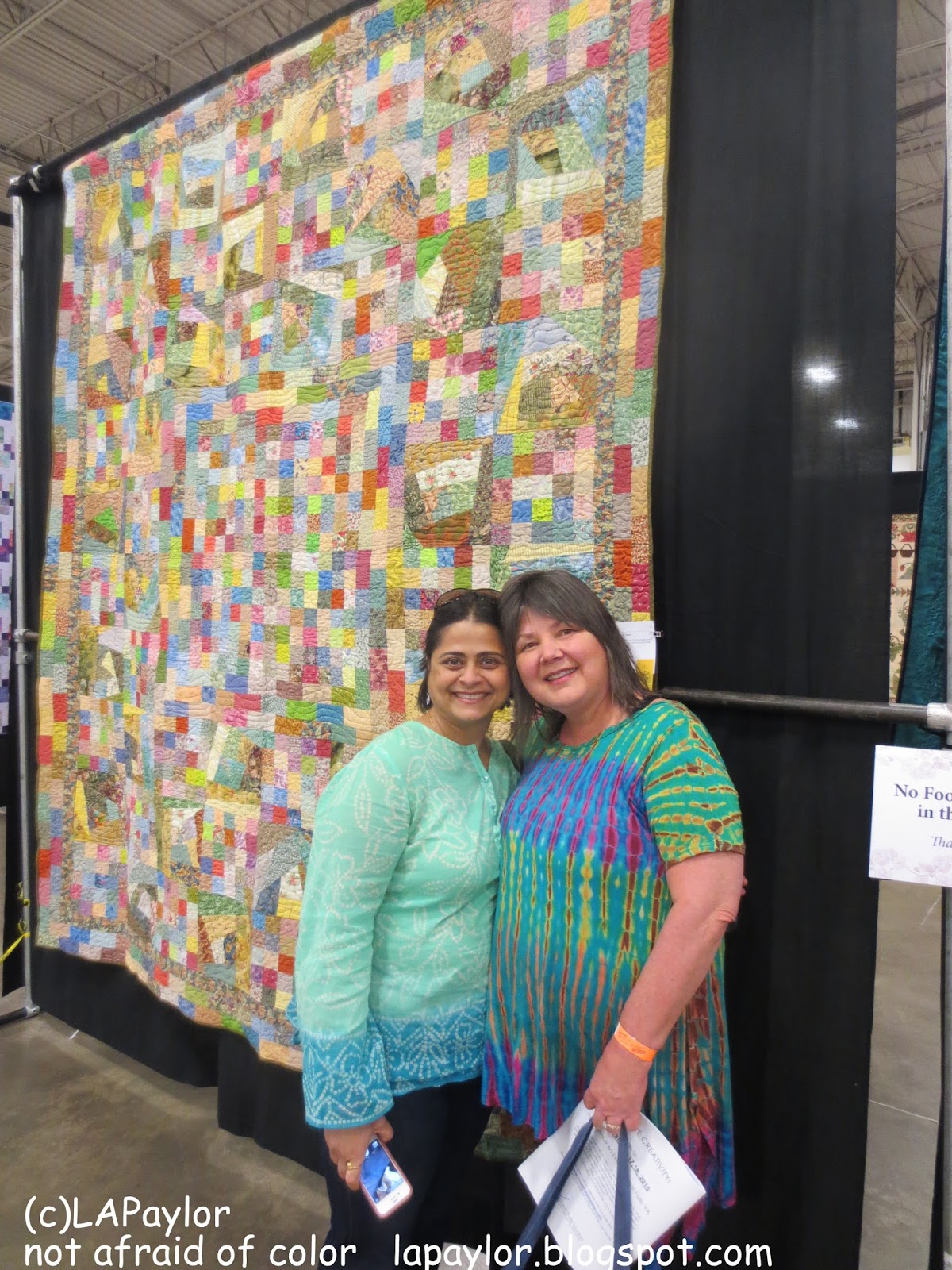 Not Afraid of Color: Quilt Show Season