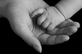 PURPLE SAGE ORIGINALS: Peter Rabbit and Friends Quilts