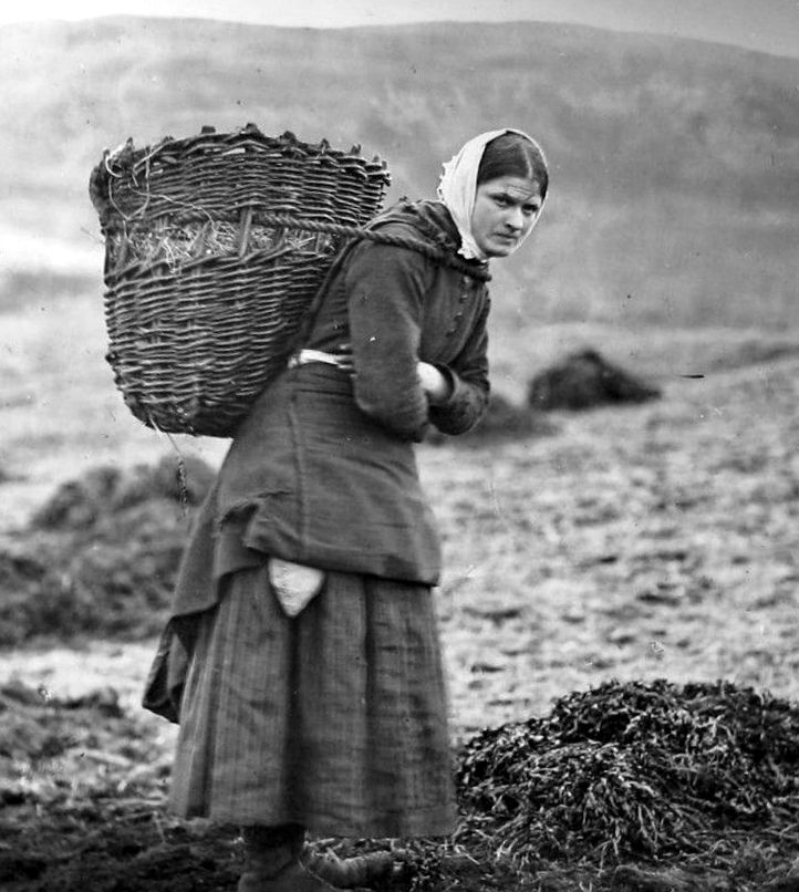 Tour Scotland: Old Photograph Crofter Carrying Creel Basket Isle Of ...