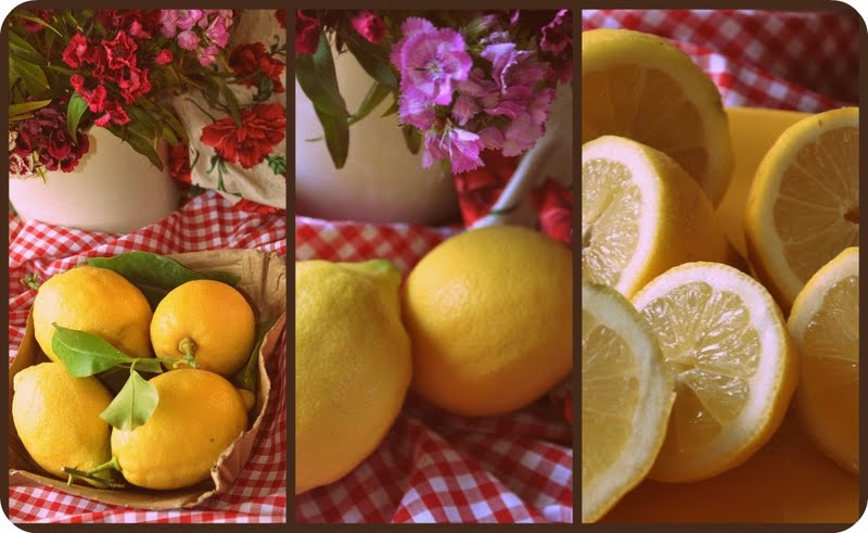 A Taste of Italy: Granita al Limone ( Italian Lemon Ice- DELIZIOSO! )