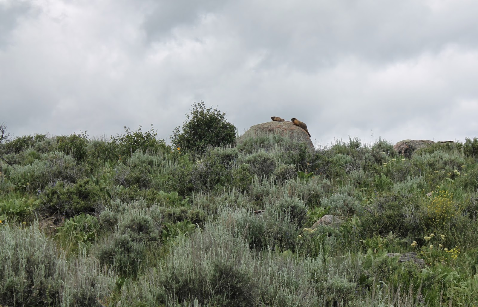 what's up at the white house: lower cataract lake loop - part one