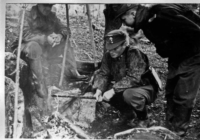 Armour force / Panssaroitu voima : 6th SS Mountain Division Nord