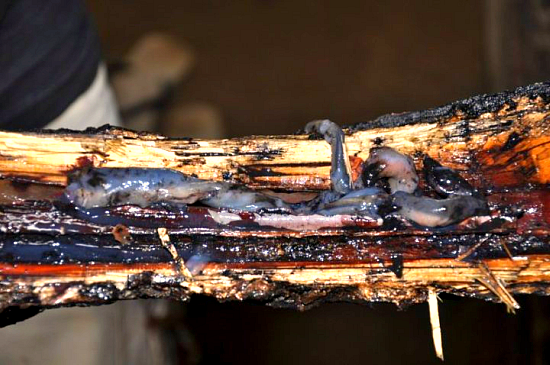 Exotic Foods in the Philippines