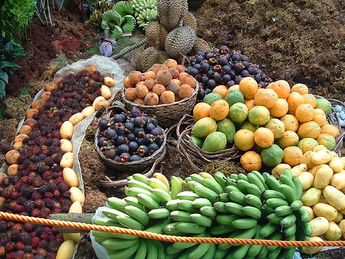 Make It Davao: Davao City is Asia-Pacific's Top Tourism Destination