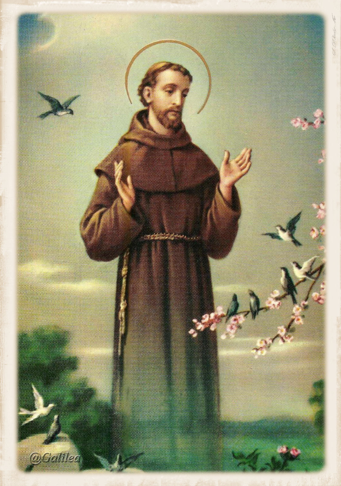 Santa María, Madre de Dios y Madre nuestra: San Francisco de Asís, 4 de ...