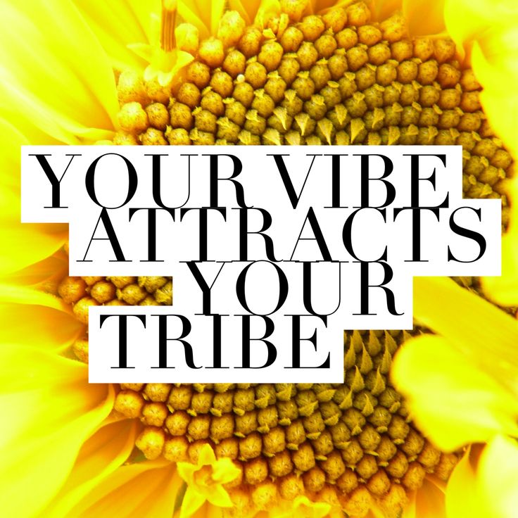 My 1-2-3 Cents : Motivational Monday: Your vibe attracts your tribe