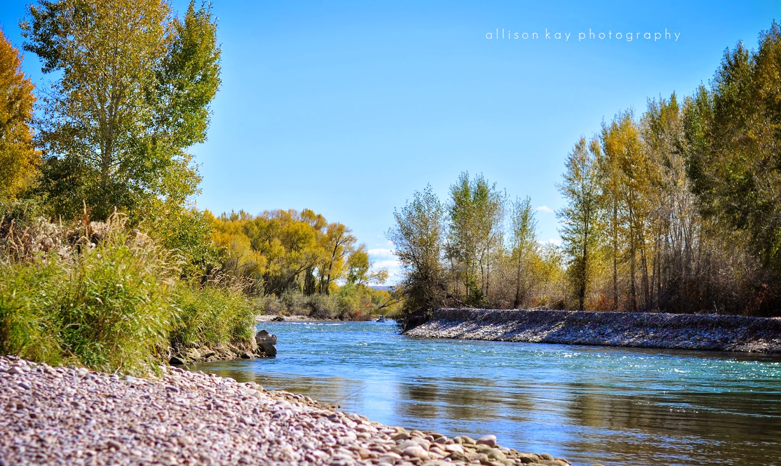 allison kay photography