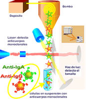 APLICAR TÉCNICAS INMUNOHEMATOLOGICAS: TÉCNICAS INMUNOLÓGICAS (LAS MAS ...
