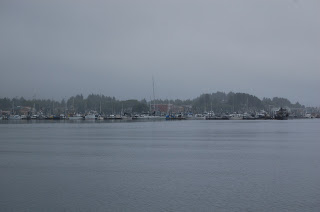Adventure to Alaska!: Sergius Narrows to Sitka, Alaska Monday 07.01.2013