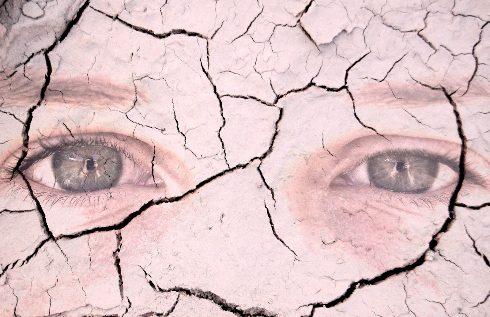 "You never miss the water till the well runs dry" nghĩa là gì?