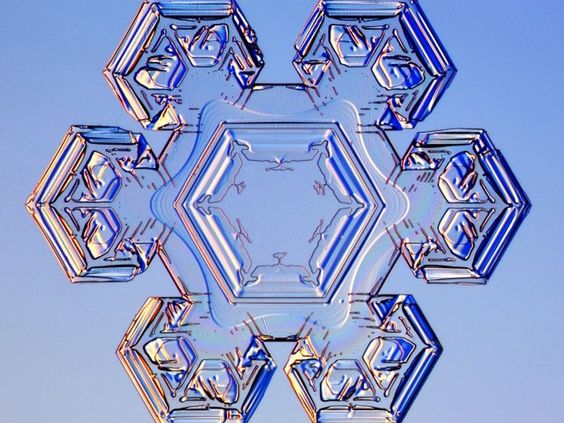 Heraldry of Life: ART with REAL SNOWFLAKES