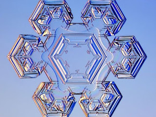 Heraldry of Life: ART with REAL SNOWFLAKES