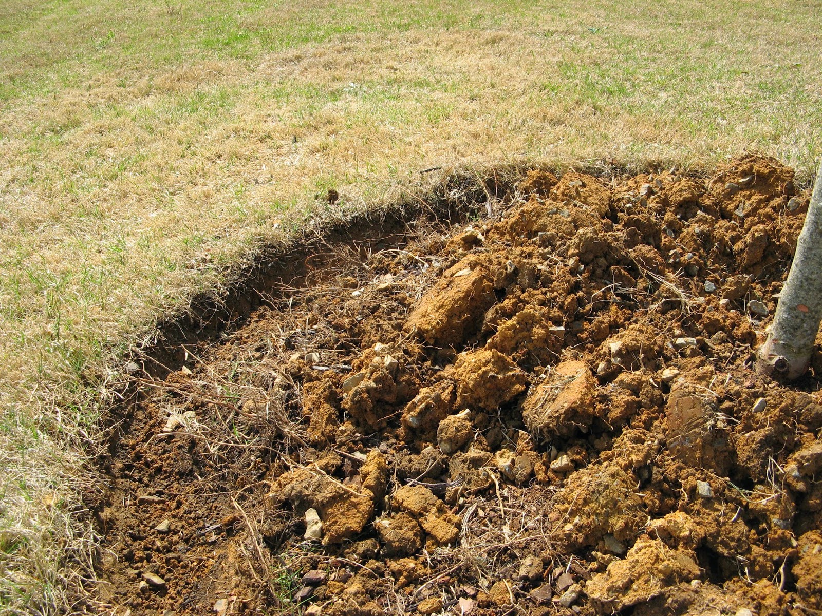 Susan Snyder: DIY STONE LANDSCAPE BORDER 2