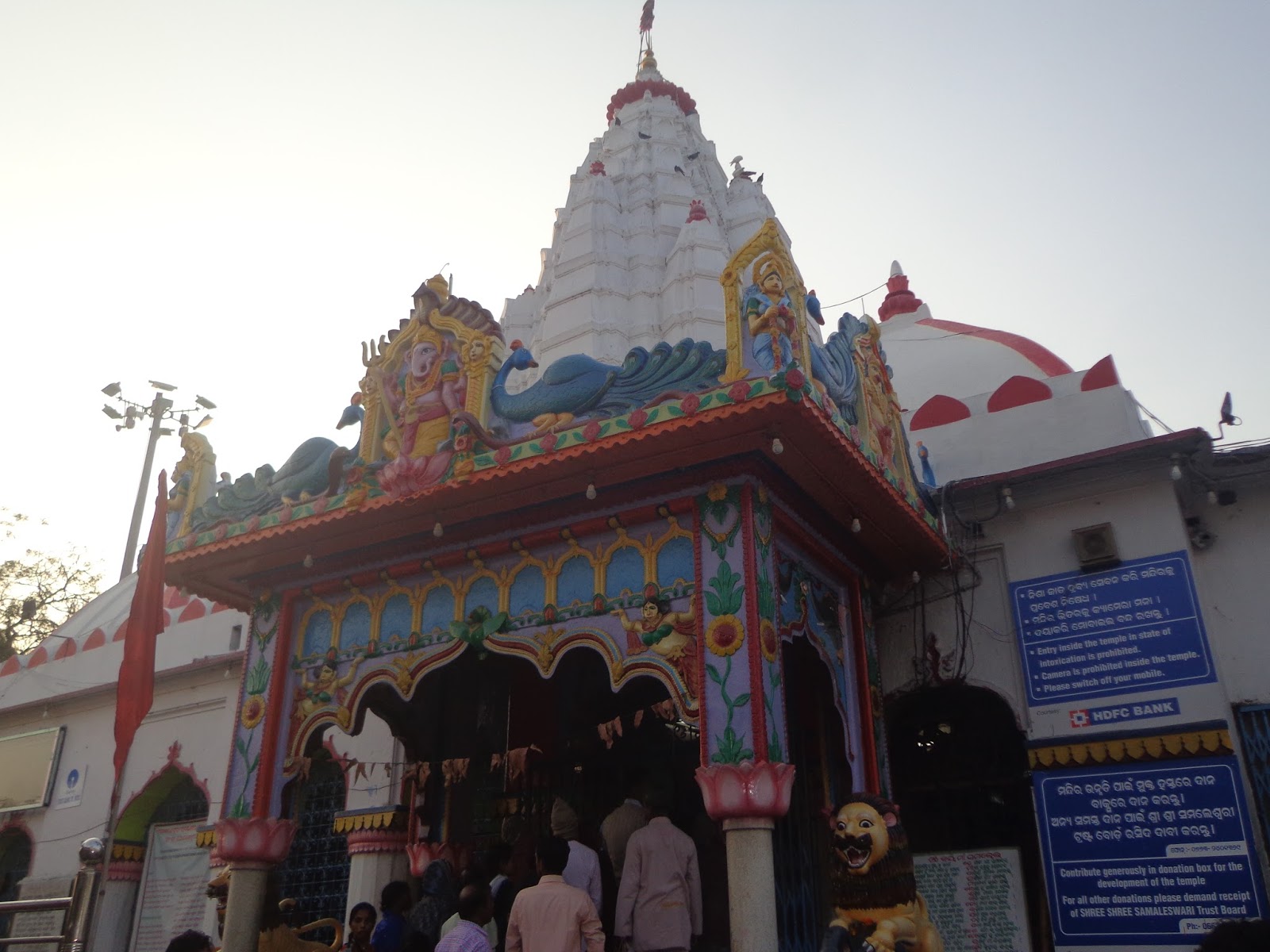 Sambalpuri Saree Design - The Name and Fame of Odisha Handloom: Visit ...