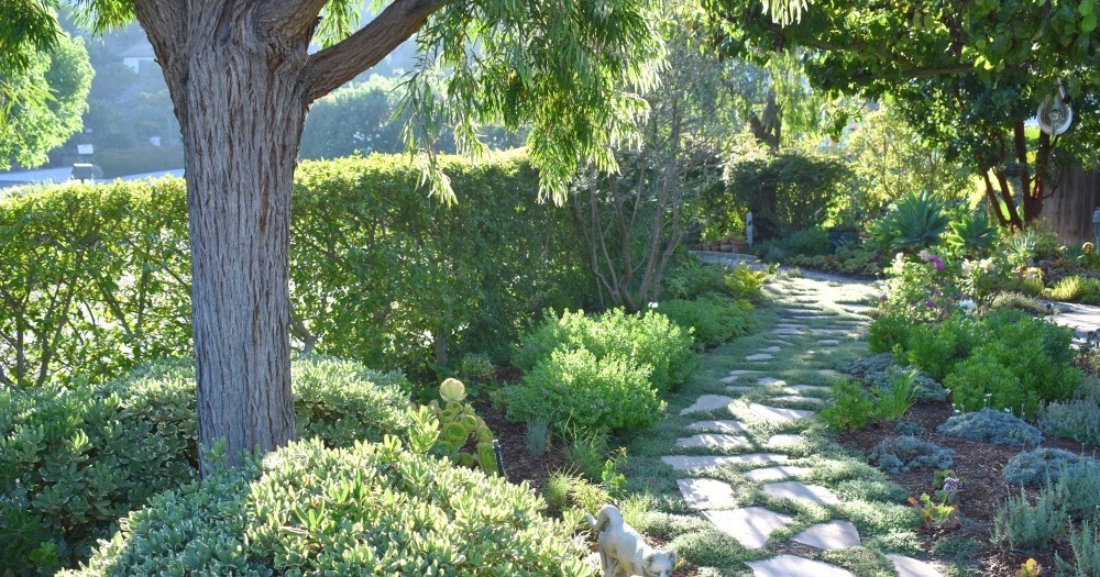 Late to the Garden Party: Special Effects - Foliage Edition