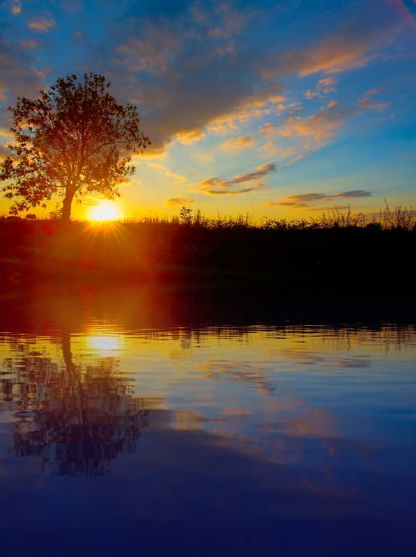 Reflecting on the Digital Workplace Trends Report