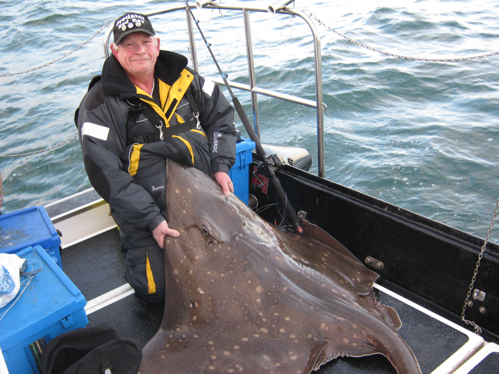 Big Fishes of the World: RAY SKATE Big Fishes of the World: RAY SKATE