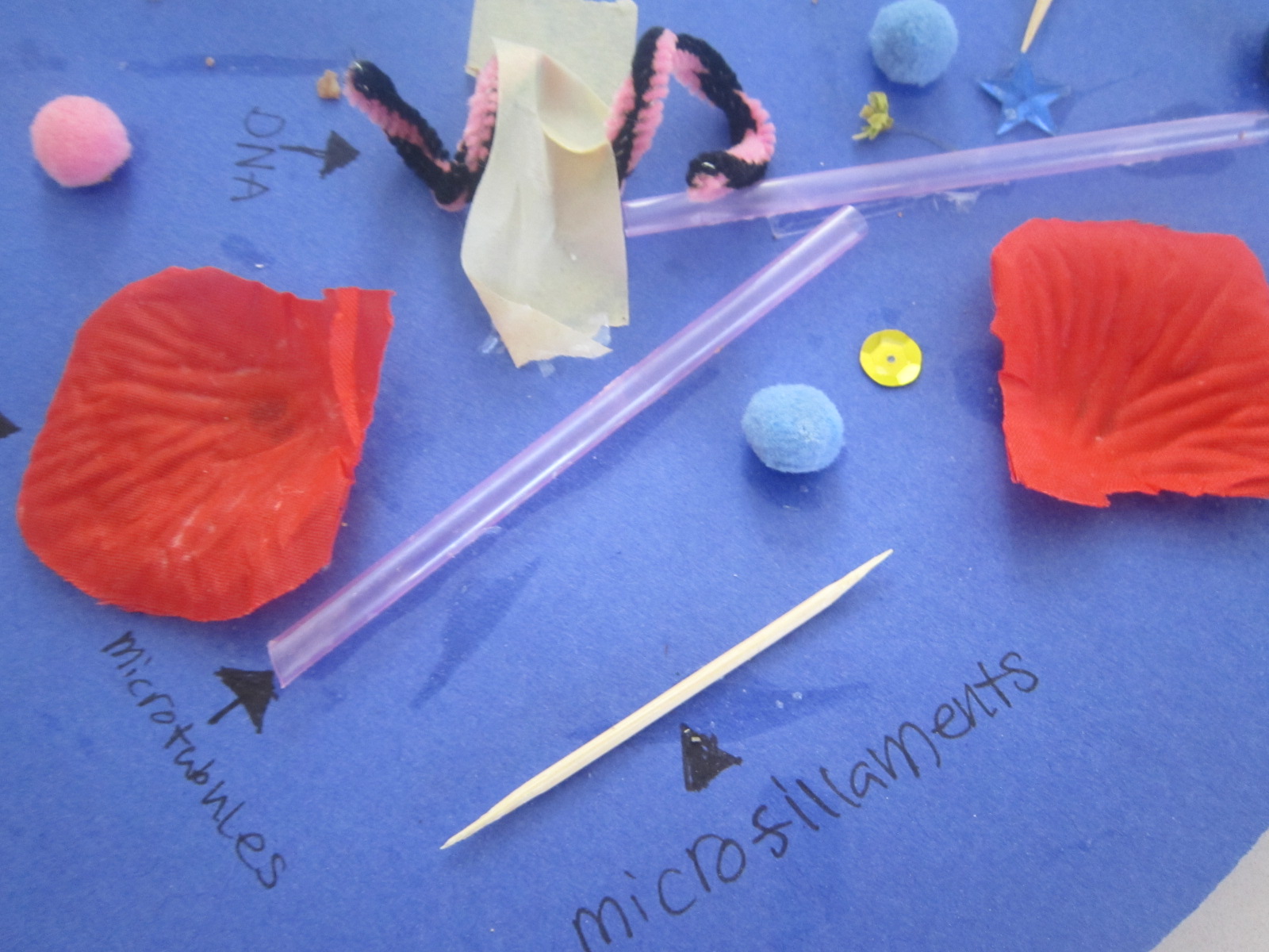 4 kids, 2 guinea pigs one happy family: Cells made simple