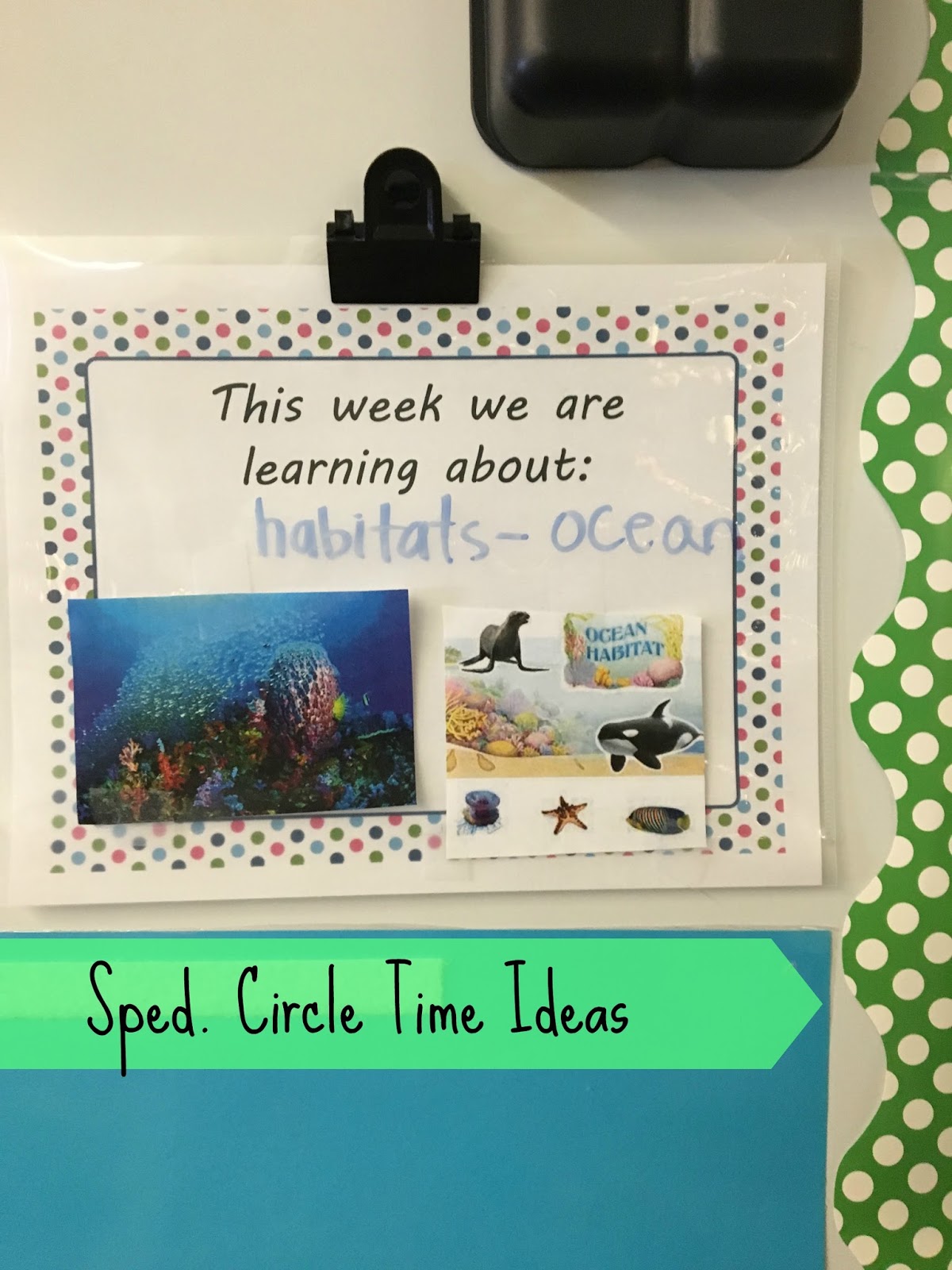 Little Miss Kim's Class: Circle Time / Morning Meeting in Special Education