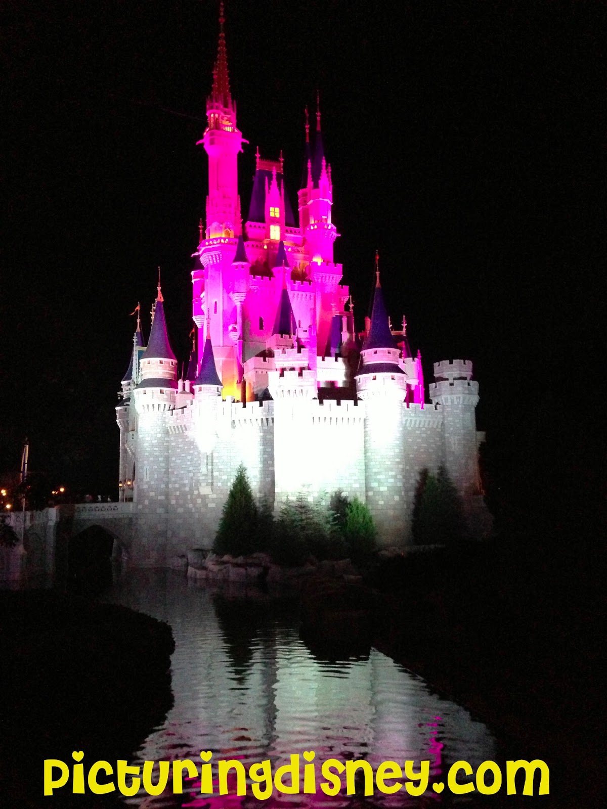 Picturing Disney: Night & Day Week: Cinderella Castle (Night)