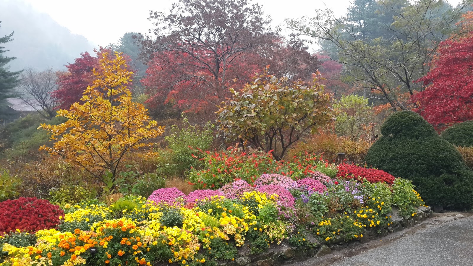 My Little Persona: Autumn in Garden of the Morning Calm, Korea