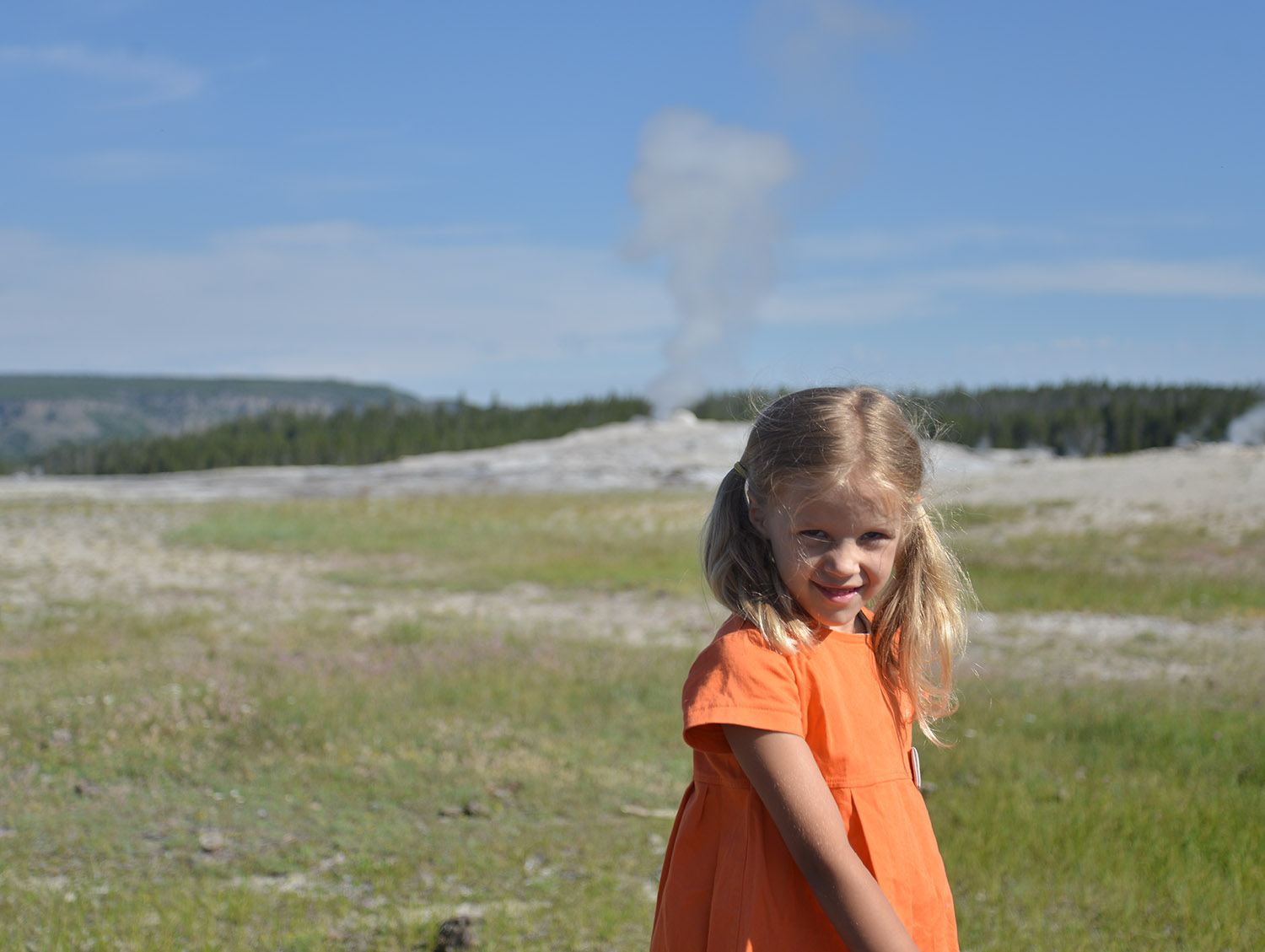 Yellowstone: Upper Geyser Basin - light-in-leaves