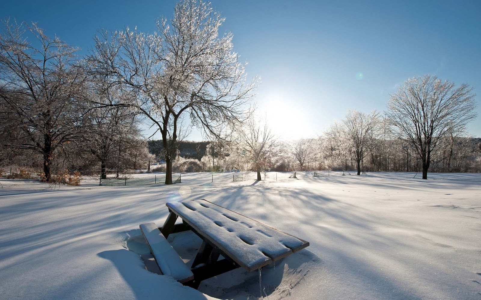 28 prachtige winter achtergronden en foto's