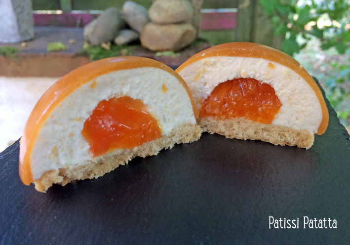 patissi patatta: Dômes nectarines et abricots romarin