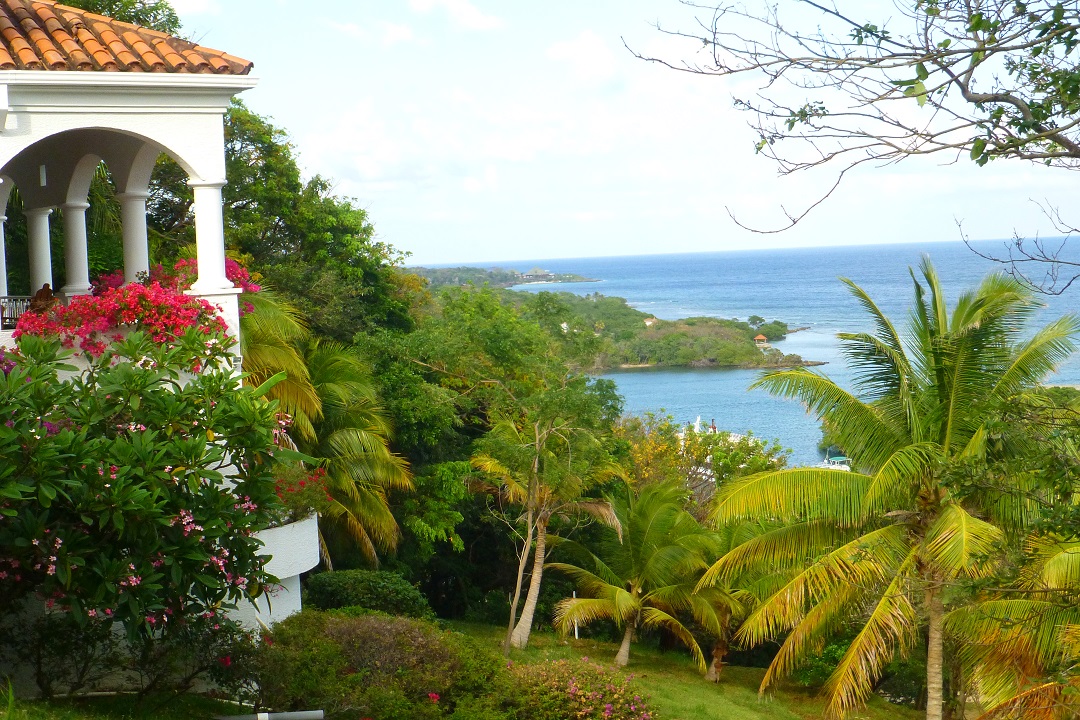 Rafiki, Loud en Marlène: Parrot Tree Resort, Roatan Honduras