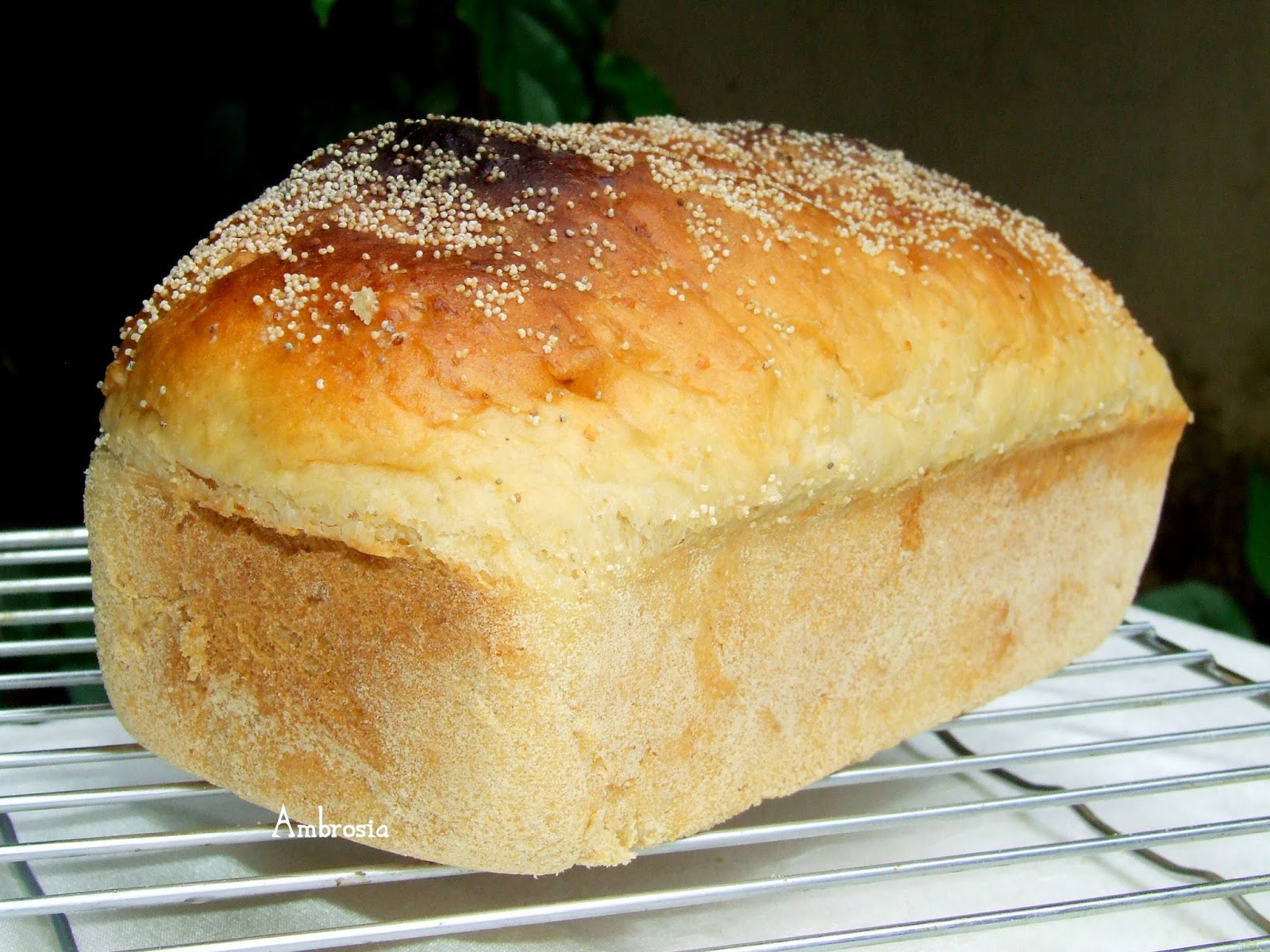 Breads | Ambrosia