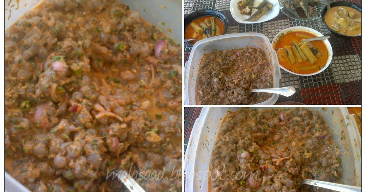 My Green Eye's: What ? Bronok...?