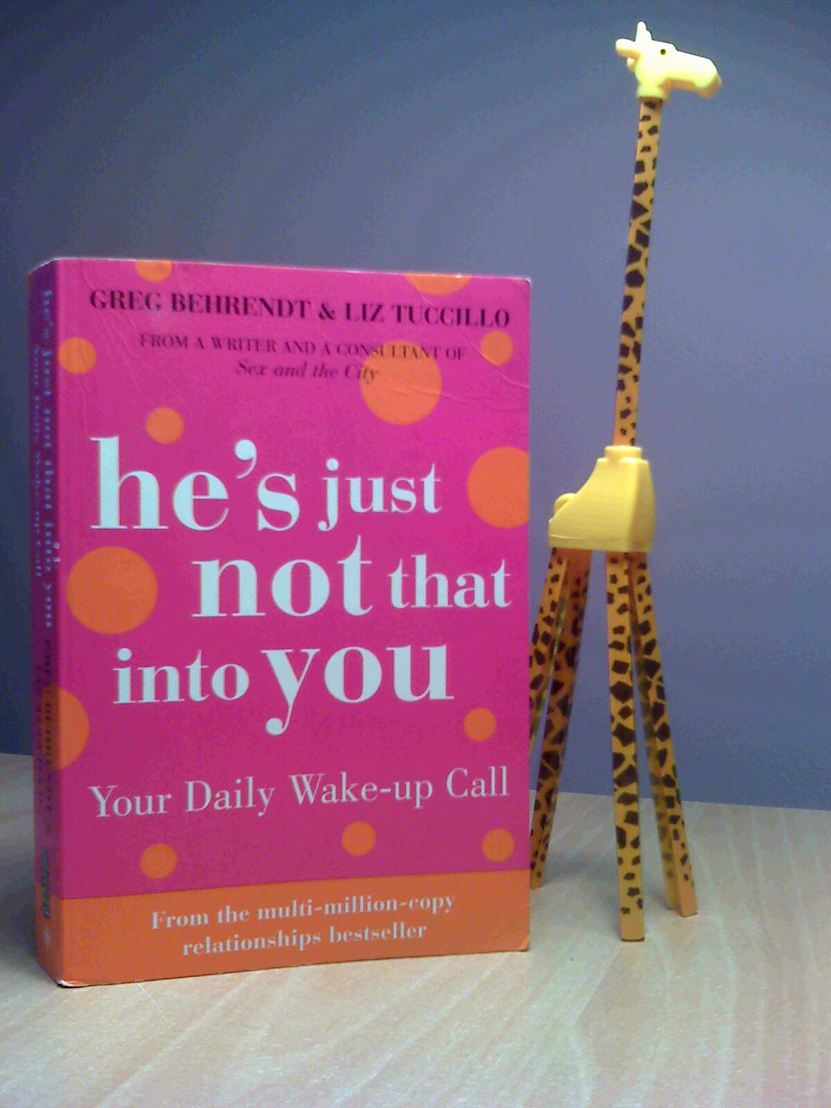 I DIG ENGLISH by Karolina Pabich: Books and Movies: He's Just Not That ...