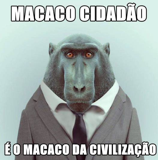 Skank - Macaco Cidadão - Blog Memes da Web Internet