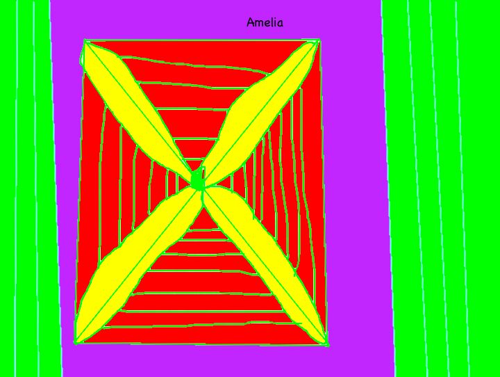 I am 6!: Tivaevae pattern